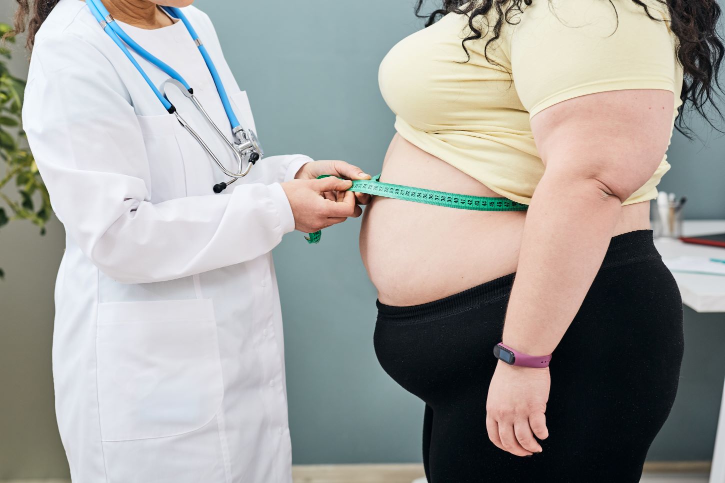 Obesity grades: The 3 stages of obesity | BIOMES