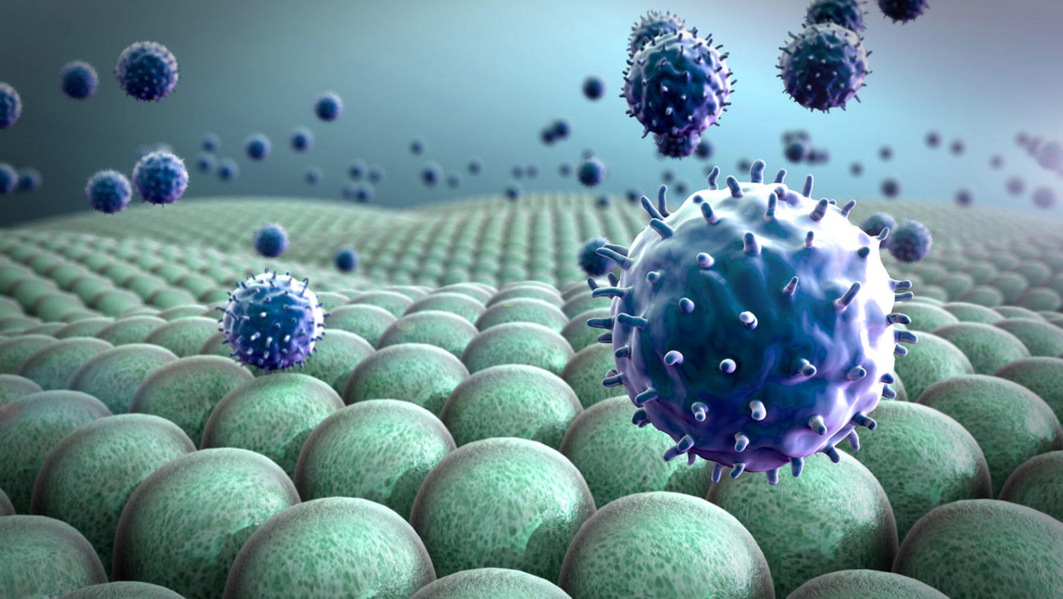 Análisis inmunológico: conoce tus defensas | BIOMES